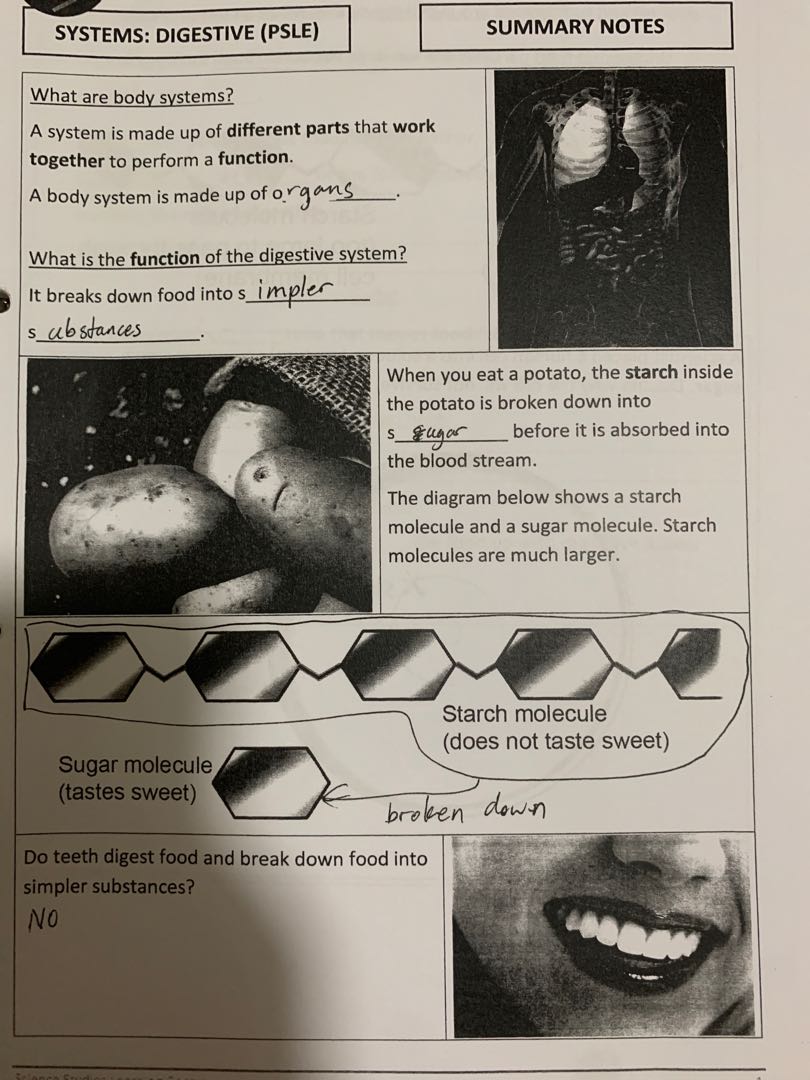PSLE science notes, Hobbies & Toys, Books & Magazines, Assessment Books ...