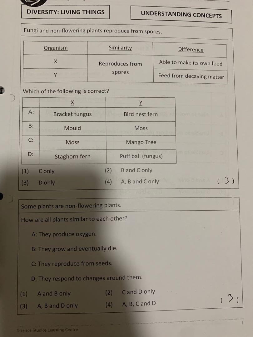 PSLE science notes CYCLE & Diversity, Hobbies & Toys, Books & Magazines ...