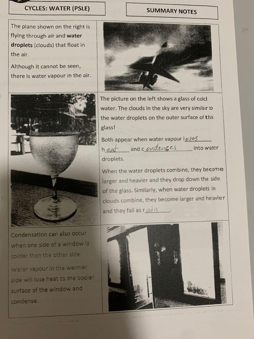 PSLE science notes CYCLE & Diversity, Hobbies & Toys, Books & Magazines ...