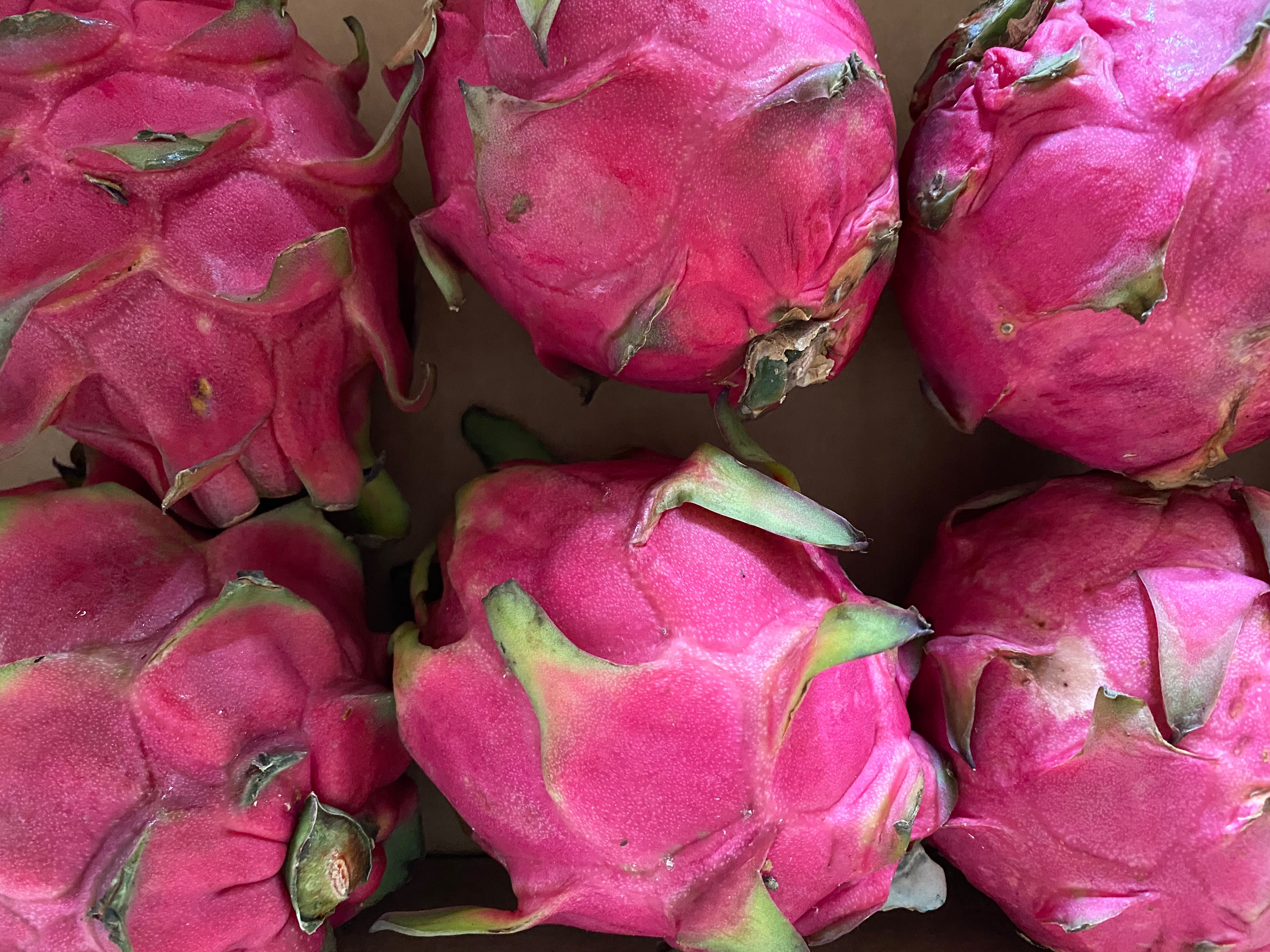 Red Dragonfruit, Food & Drinks, Fresh Produce on Carousell