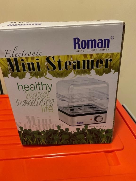 Roman Mini Steamer, TV & Home Appliances, Other Home Appliances on ...