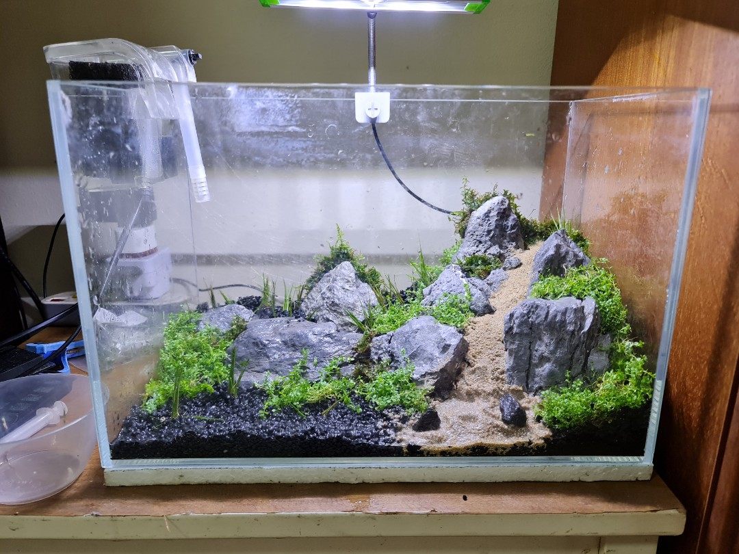 Seiryu rocks, Sports Equipment, Fishing on Carousell