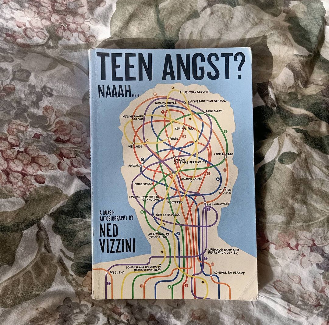 Teen Angst by Ned Vizzini, Hobbies & Toys, Books & Magazines, Fiction ...