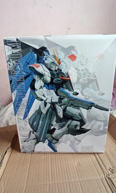 Daban Strike Freedom 1/100 MG, Hobbies & Toys, Toys & Games on Carousell