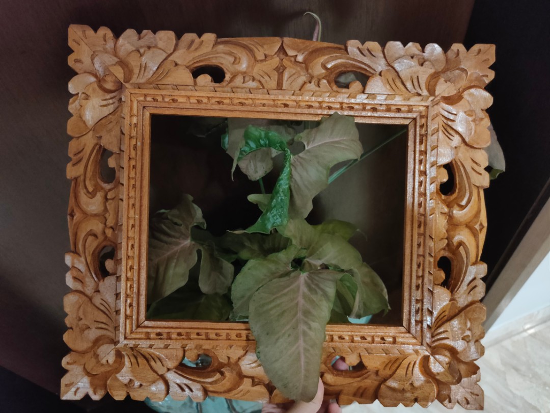 Frame kosong kayu solid ukir seni hiasan lukisan art decor carving# ...
