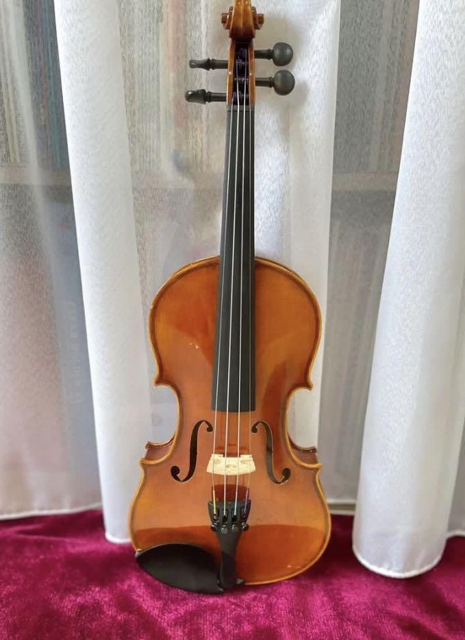 GCV violin (Cannzona series) 1/2 Violin, Hobbies & Toys, Music & Media ...