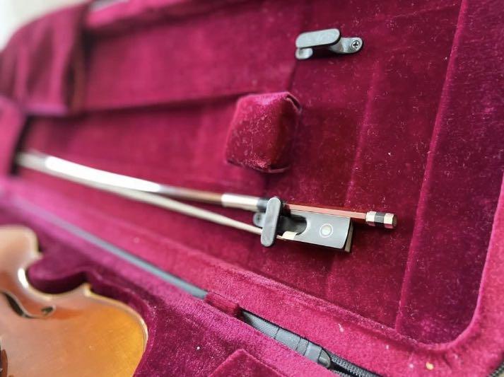 GCV violin (Cannzona series) 1/2 Violin, Hobbies & Toys, Music & Media ...