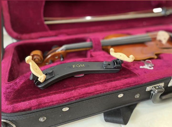 GCV violin (Cannzona series) 1/2 Violin, Hobbies & Toys, Music & Media ...