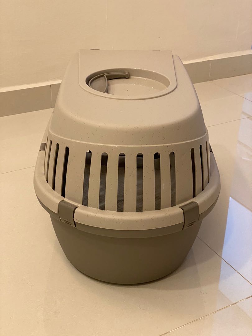 Pet Hard Carrier, Pet Supplies, Homes & Other Pet Accessories on Carousell