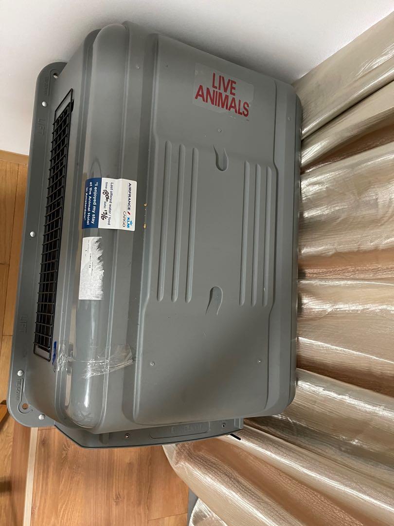 Petmate Airline Cargo Crate Intermediate, Pet Supplies, Homes & Other ...