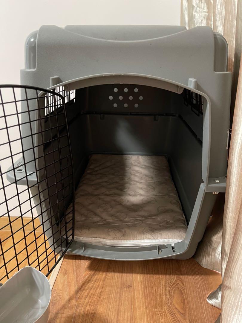 Petmate Airline Cargo Crate Intermediate, Pet Supplies, Homes & Other ...