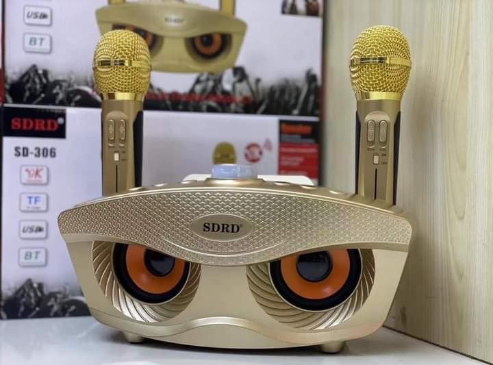 SDRD Professional Bluetooth Karaoke Speaker with Two Wireless ...