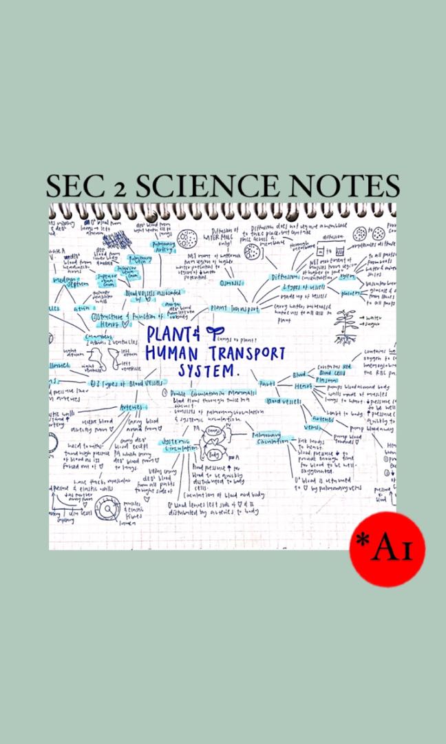 Sec 2 Science notes + quizlet + docs (combined science: physics biology ...