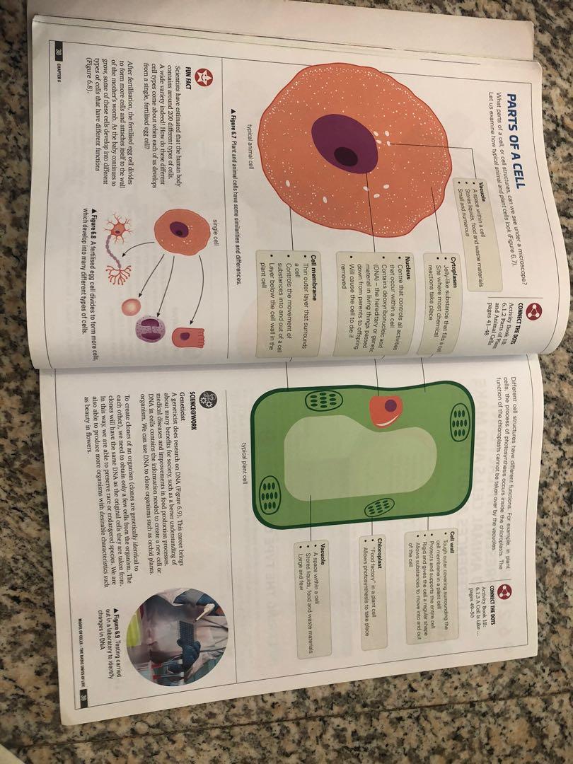Secondary 1 Science 1B textbook, Hobbies & Toys, Books & Magazines ...