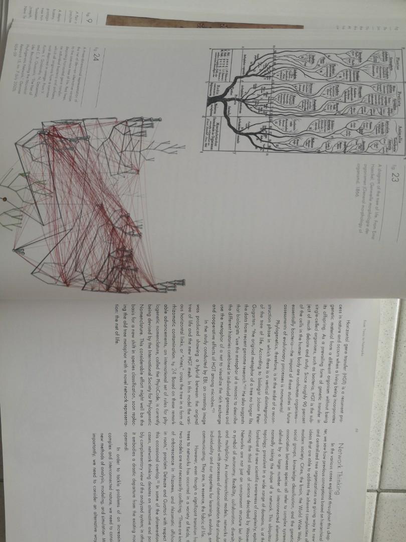 Visual Complexity. Mapping Patterns of Complexity. By Manuel Lima ...