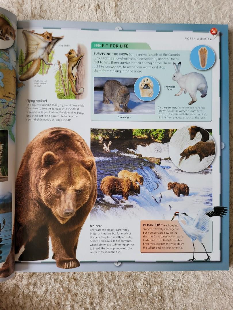 Animal Planet Atlas of Animals (hardcover), Hobbies & Toys, Books ...