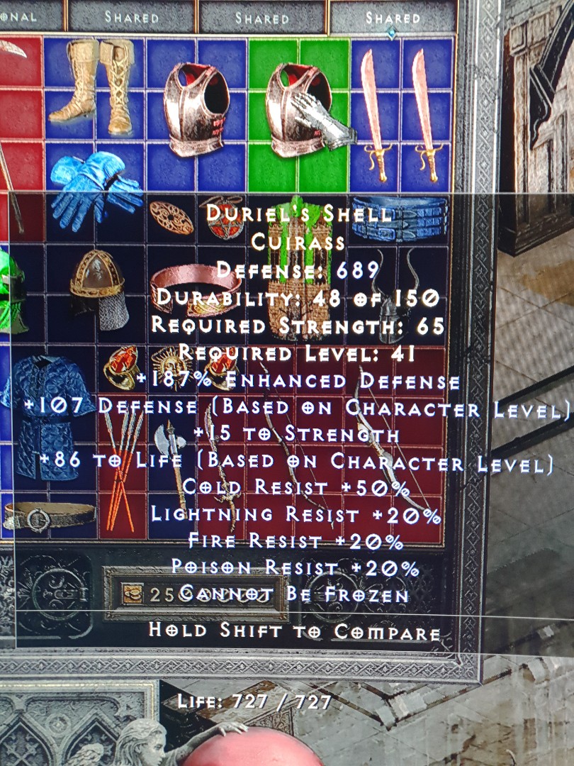 Duriel's shell, Video Gaming, Video Games, Others on Carousell