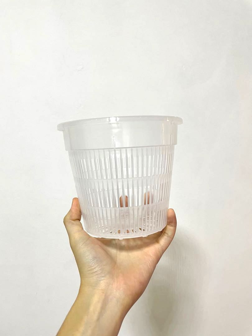 Holey transparent pot, Furniture & Home Living, Gardening, Pots ...