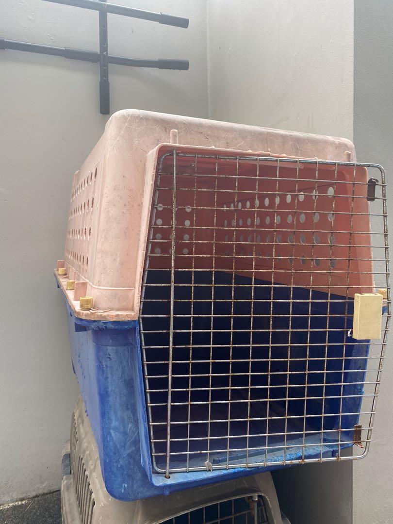Jetpets pet travel crate, Pet Supplies, Homes & Other Pet Accessories ...
