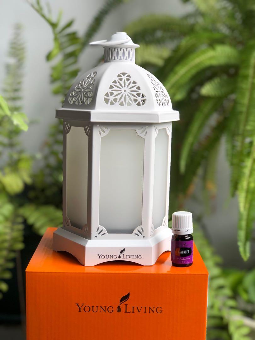 Lantern Diffuser Young Living, Beauty & Personal Care, Fragrance ...
