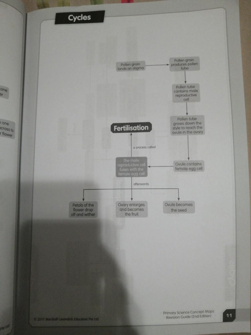 PSLE science concept maps, Hobbies & Toys, Books & Magazines ...