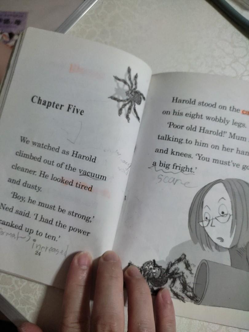 Spider! By David Metzenthen Primary 1 Beacon, Hobbies & Toys, Books ...