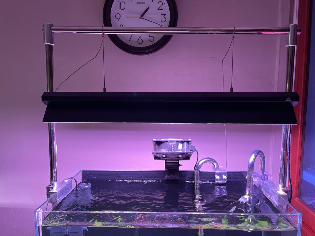 Week Aqua P600 Pro, Pet Supplies, Homes & Other Pet Accessories on ...