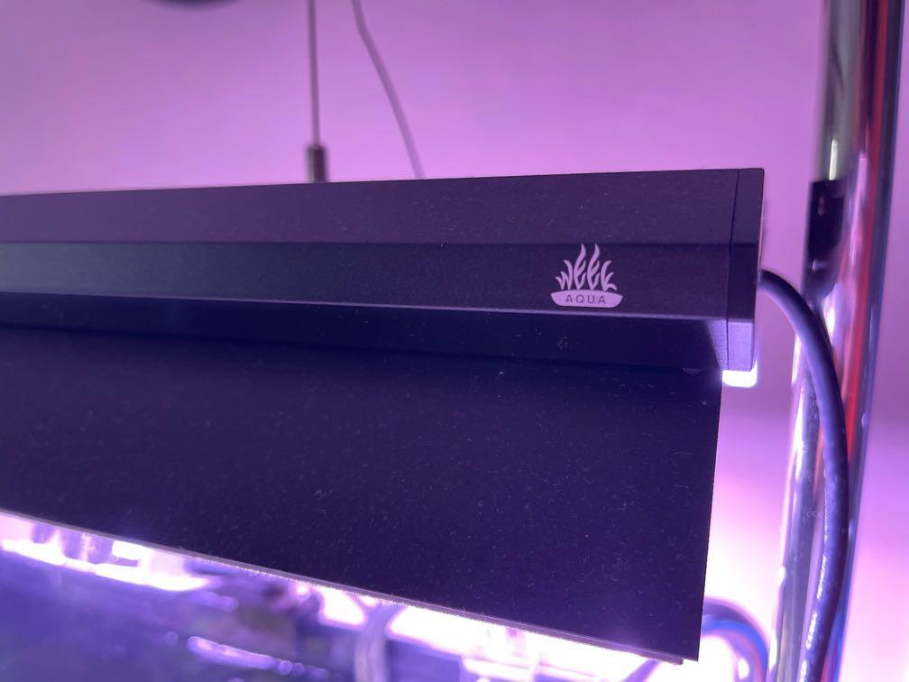 Week Aqua P600 Pro, Pet Supplies, Homes & Other Pet Accessories on ...