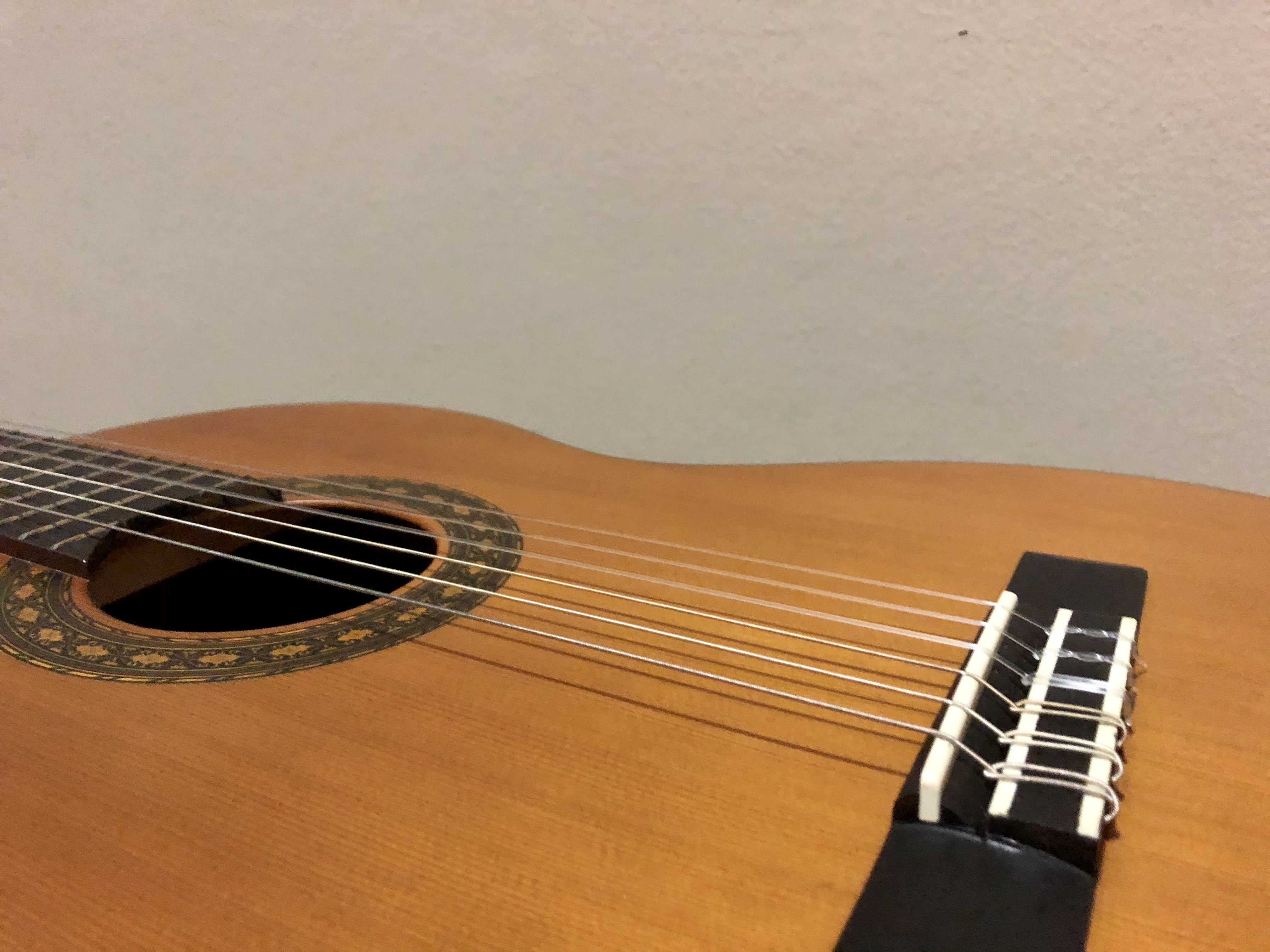 Walden Classical Guitar, Hobbies & Toys, Music & Media, Musical ...