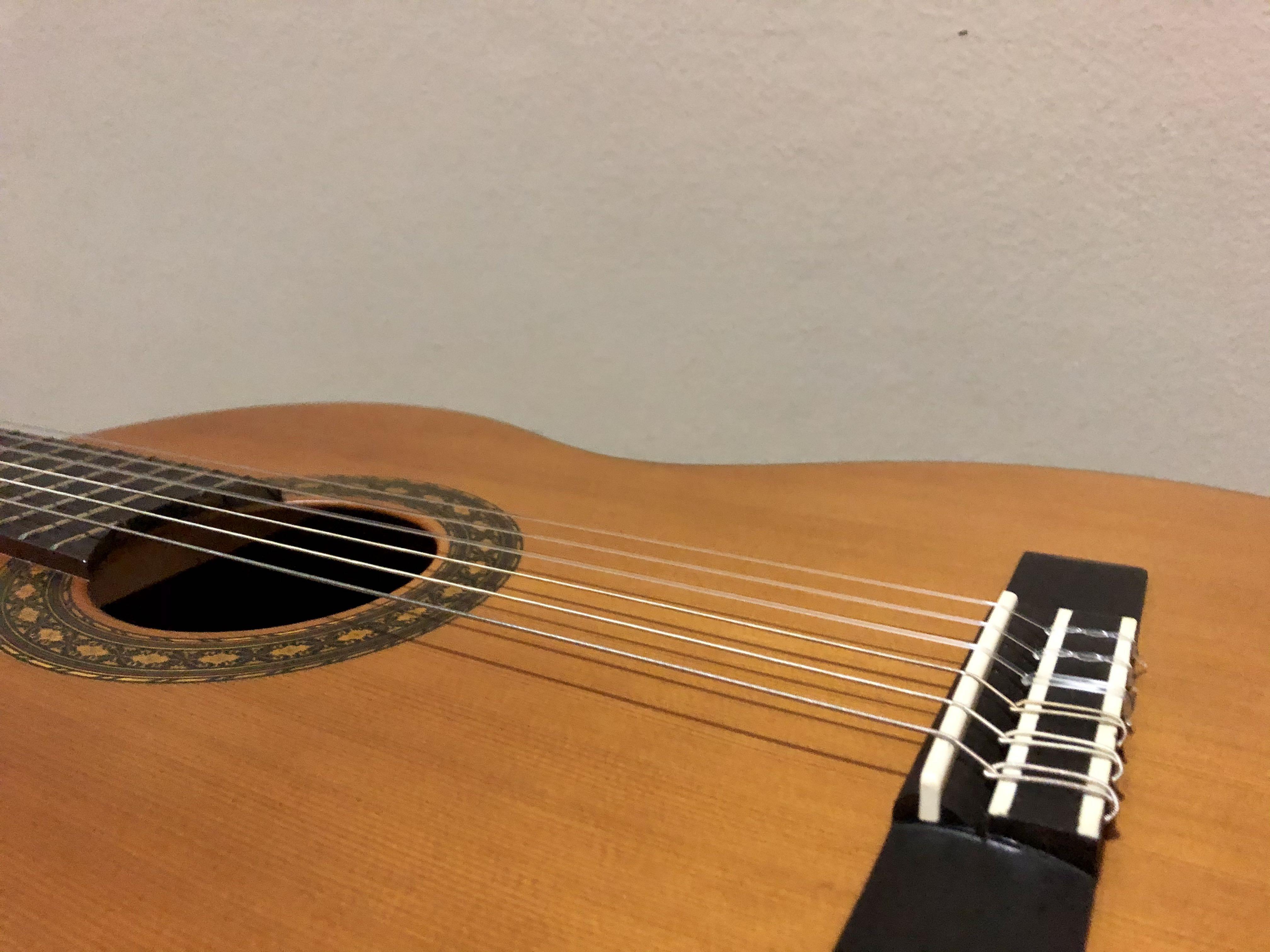 Walden Classical Guitar, Hobbies & Toys, Music & Media, Musical ...