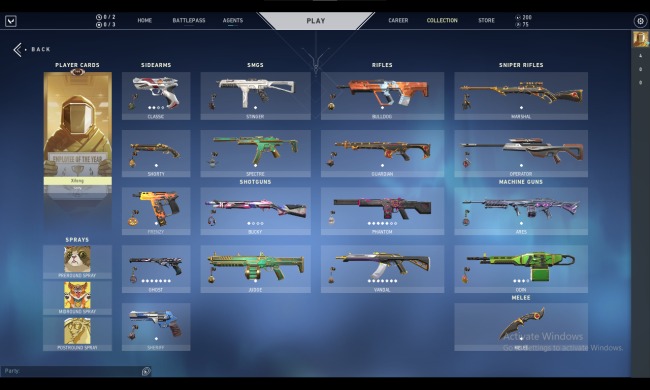 Ruin Dagger Valorant Account, Video Gaming, Gaming Accessories, Game ...