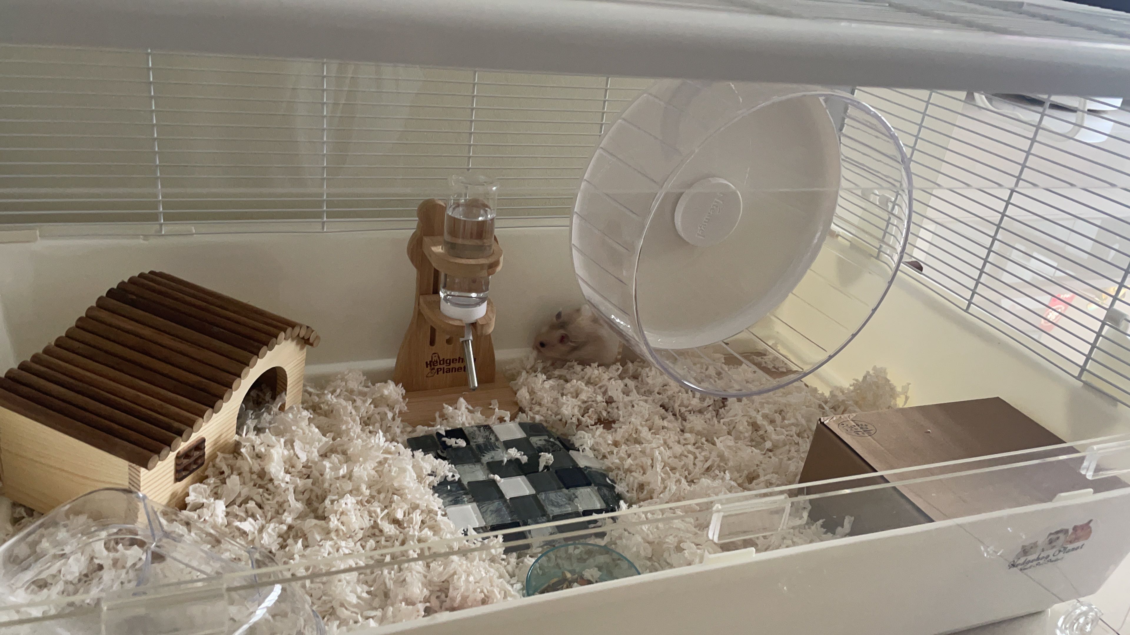 Big Hedgehog Planet Cage, Pet Supplies, Homes & Other Pet Accessories ...