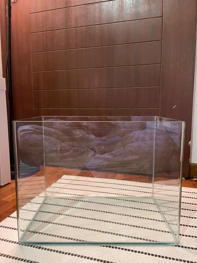 Curved Glass Tank, Pet Supplies, Homes & Other Pet Accessories on Carousell