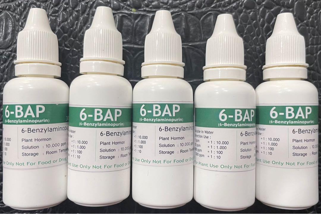 Fertilizer 6-BAP benzilaminopurin, Furniture & Home Living, Gardening ...