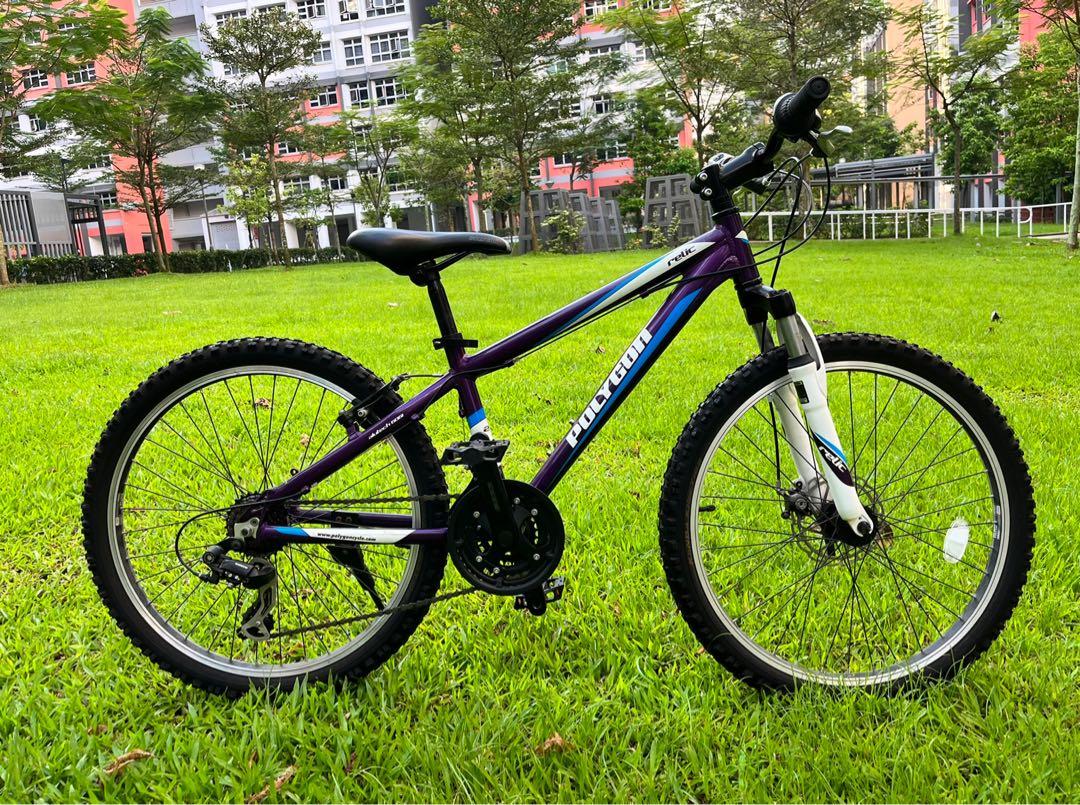 Polygon Relic 24 inch, Sports Equipment, Bicycles & Parts, Bicycles on ...
