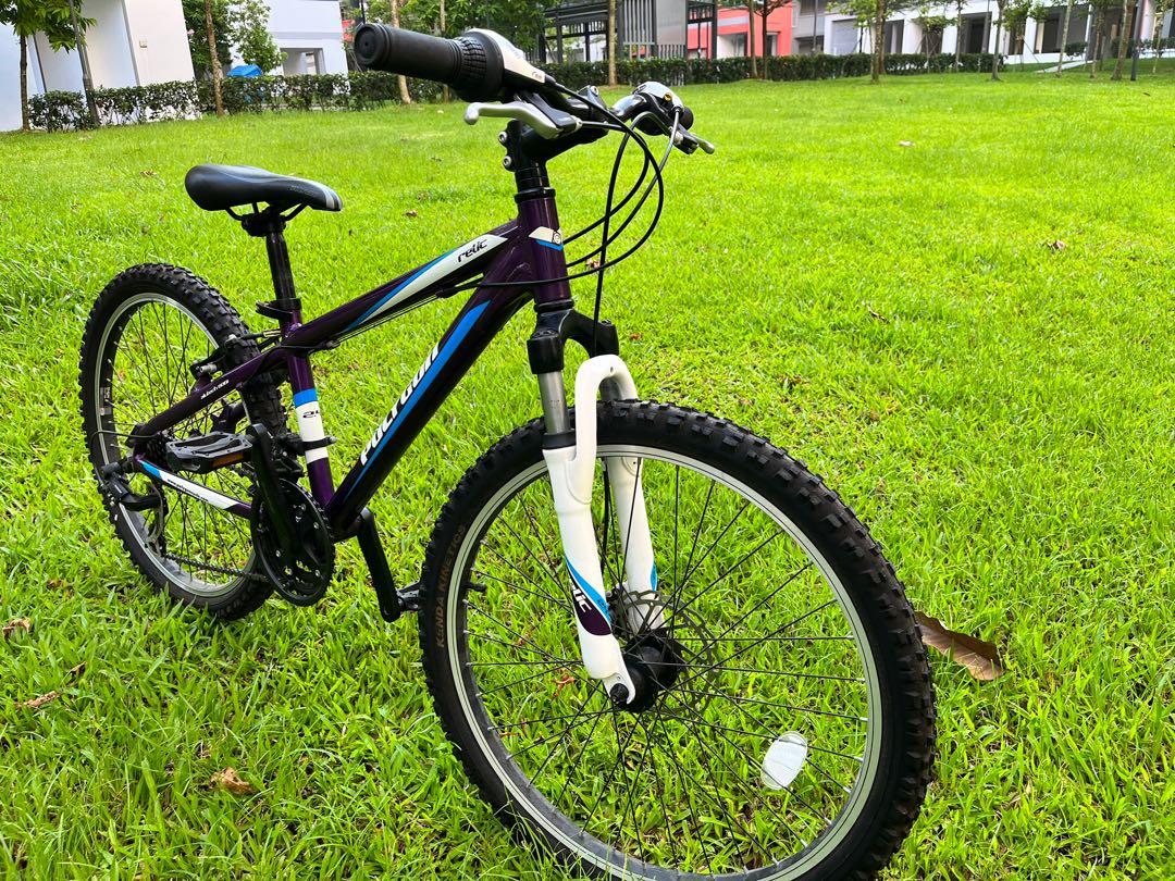 Polygon Relic 24 inch, Sports Equipment, Bicycles & Parts, Bicycles on ...