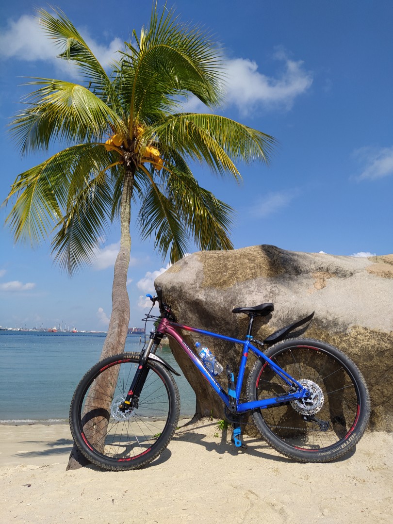 Polygon Xtrada 7 Limited Edition 2021, Sports Equipment, Bicycles ...