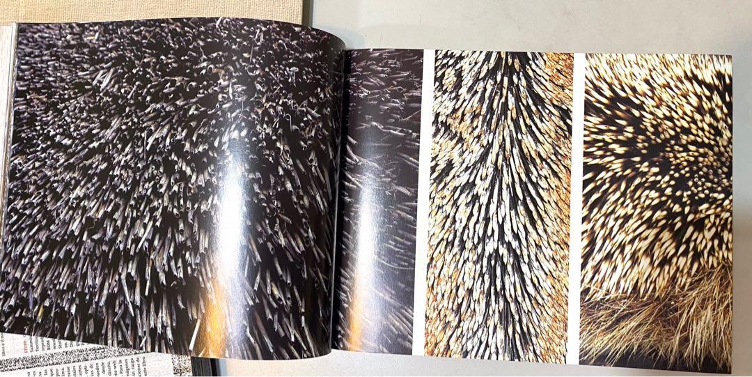 The elements of design book, Hobbies & Toys, Books & Magazines ...