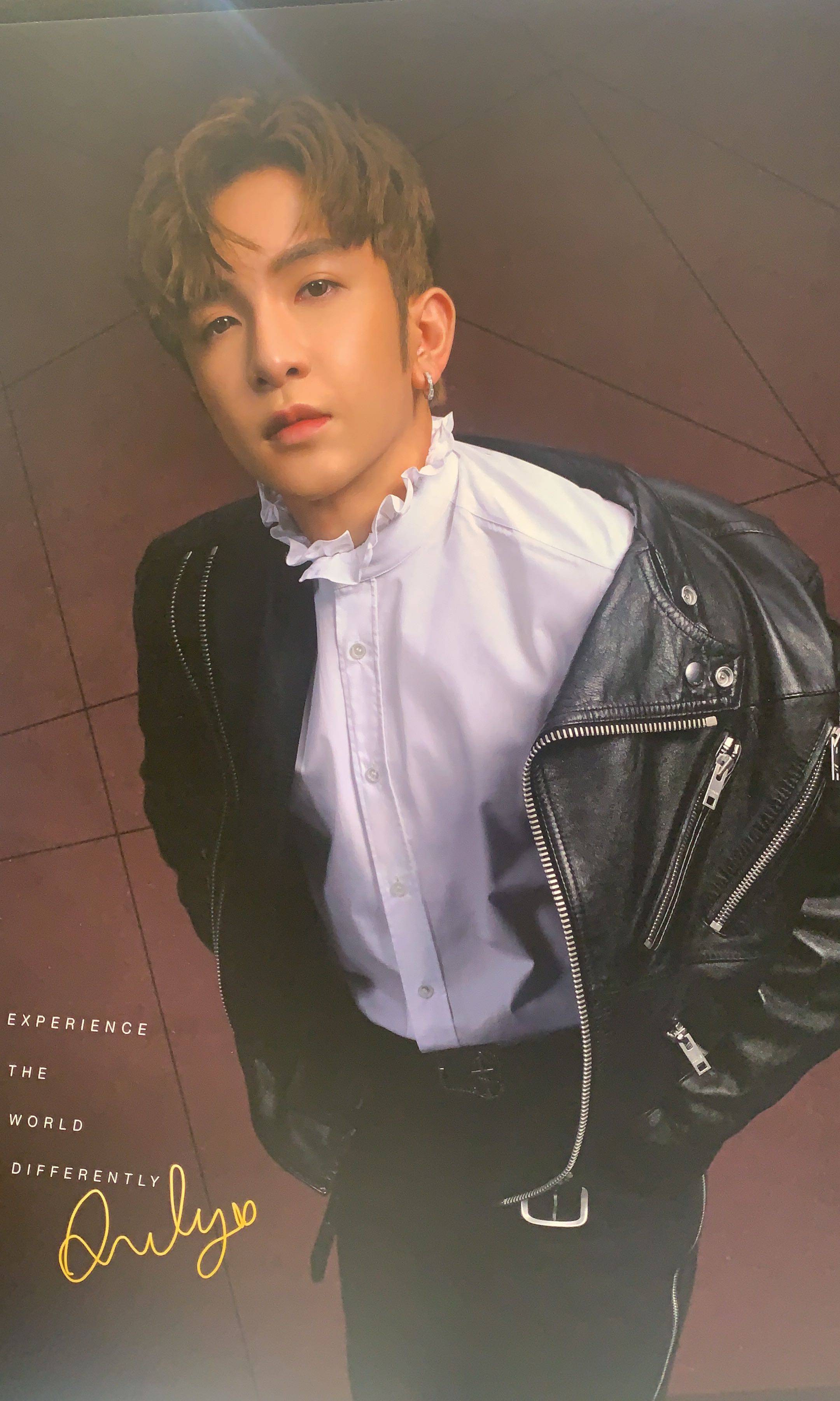 Anson lo poster, 興趣及遊戲, 收藏品及紀念品, 郵票及印刷品 - Carousell