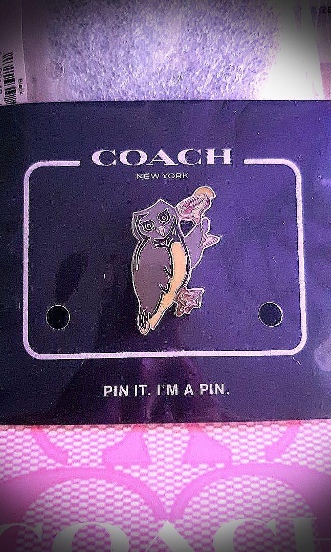 COACH pins, Luxury, Accessories on Carousell