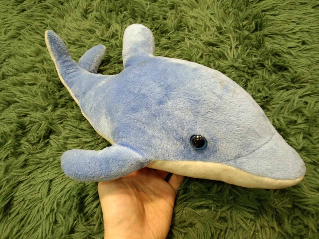 Dolphin Soft Toy, Hobbies & Toys, Toys & Games on Carousell