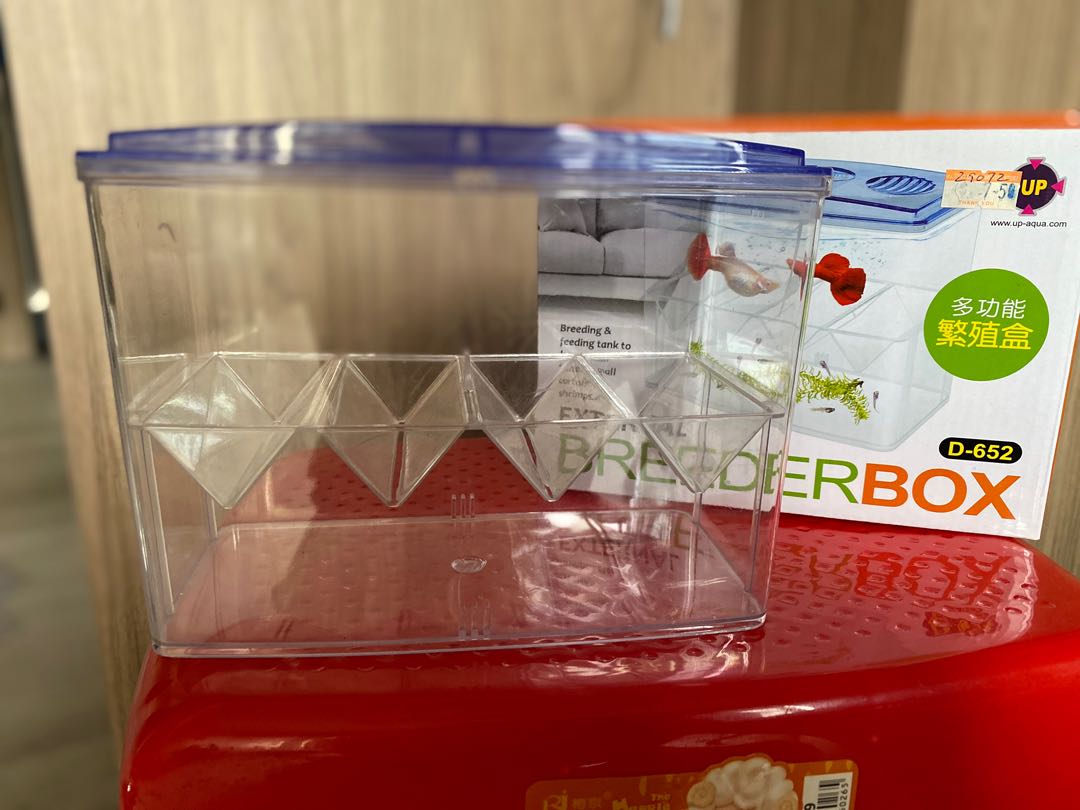 External Breeder Box (Guppy, Molly), Pet Supplies, Homes & Other Pet ...