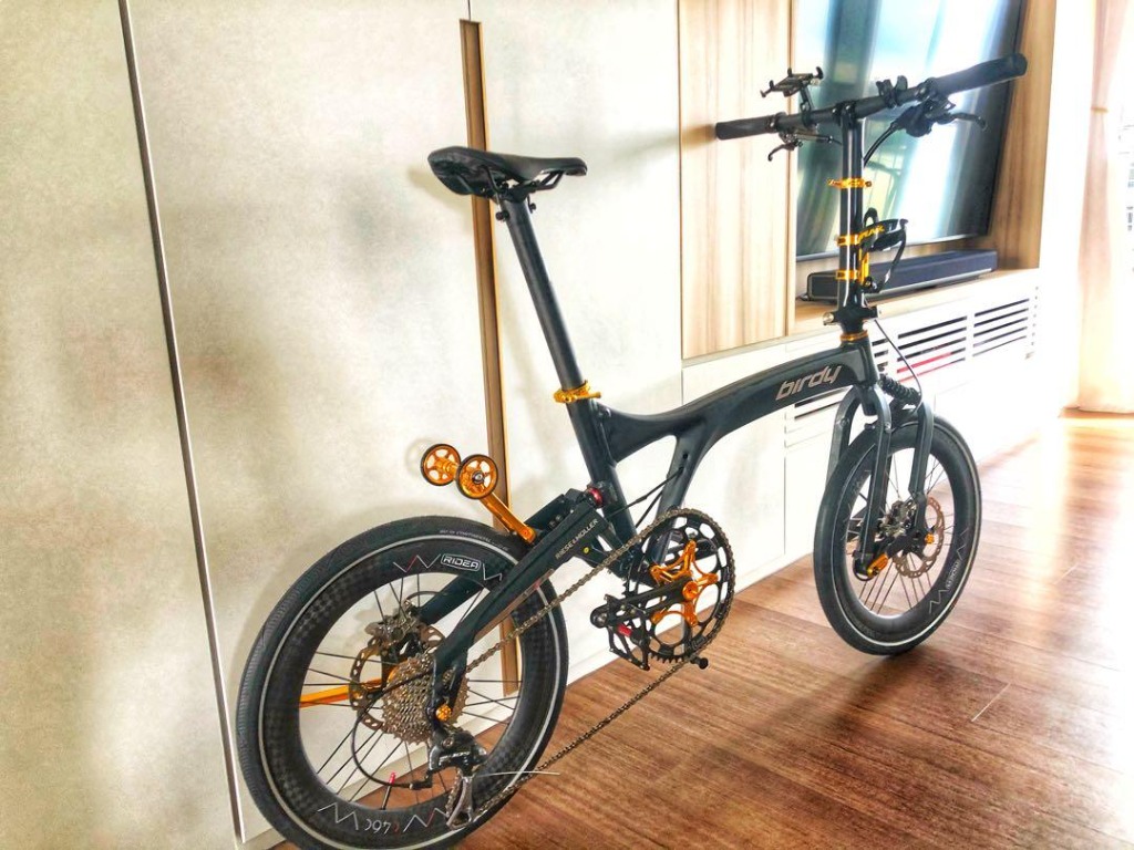 Fully Modded Birdy Gen 3, Sports Equipment, Bicycles & Parts, Bicycles ...