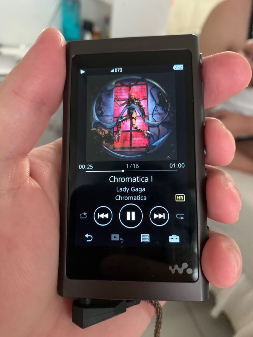 Like NEW Sony NW-A55 Portable Hi Res Audio Player (2 months old, with ...