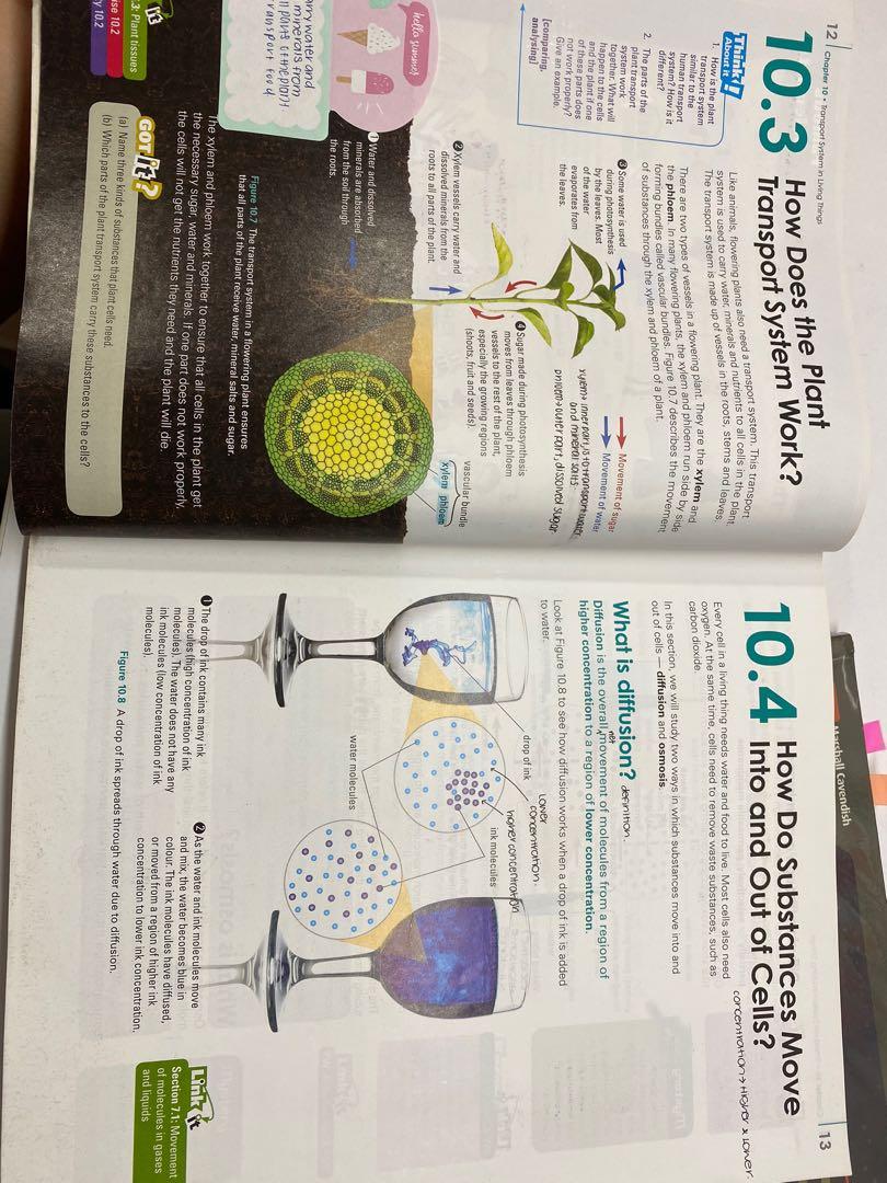 science sec 1 and 2 textbook, Hobbies & Toys, Books & Magazines ...