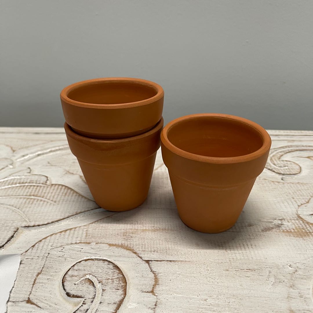Small Basic Pot, Furniture & Home Living, Gardening, Pots & Planters on ...