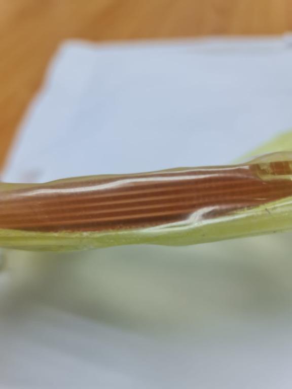 23501544 - Seal CR/SHF - Detroit Diesel, Everything Else on Carousell