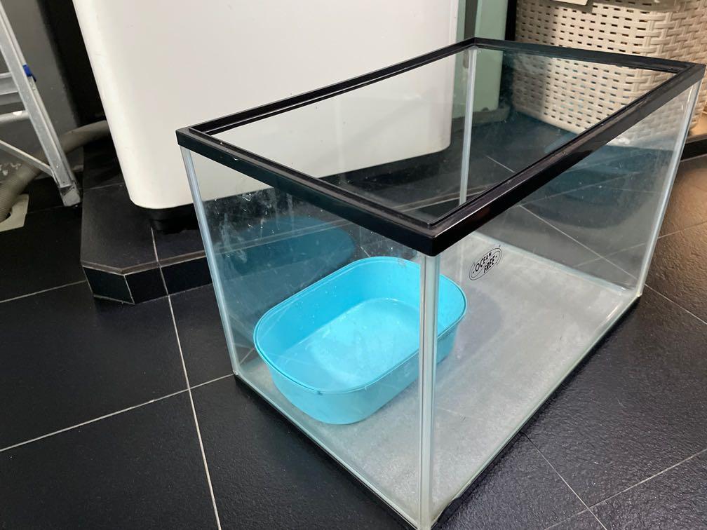 Fish/Terrapin Tank Ocean Free, Pet Supplies, Homes & Other Pet ...