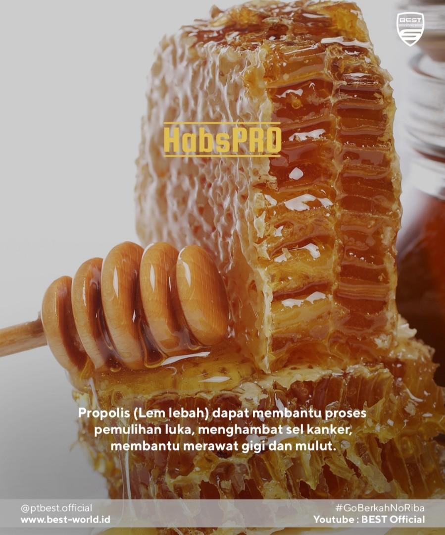 Habspro on Carousell