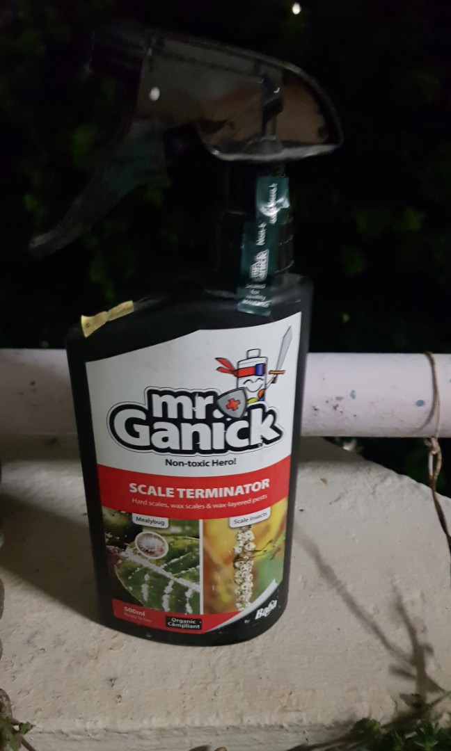 Mr. Garnick Scale Terminator, Furniture & Home Living, Cleaning ...